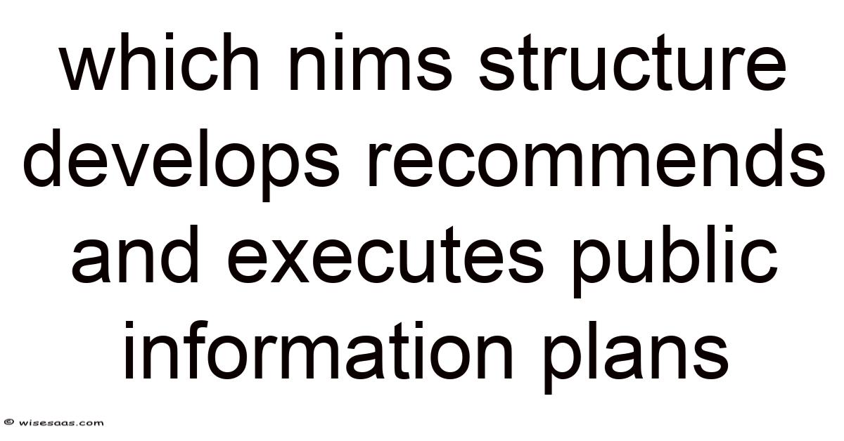 Which Nims Structure Develops Recommends And Executes Public ...